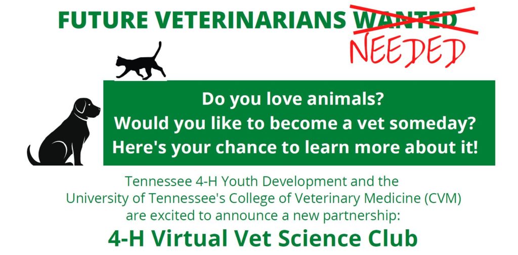 4-H Animal Projects | Hamilton County