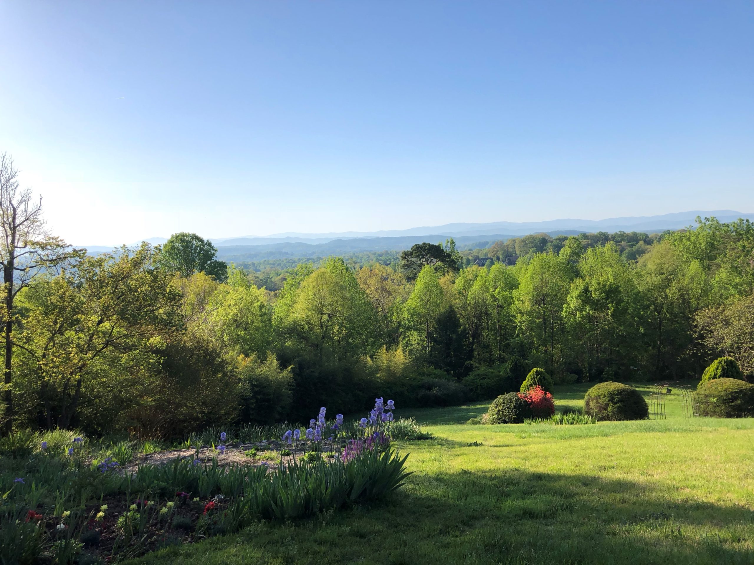 Tennessee Environmental Council Tree Day | Hamilton County