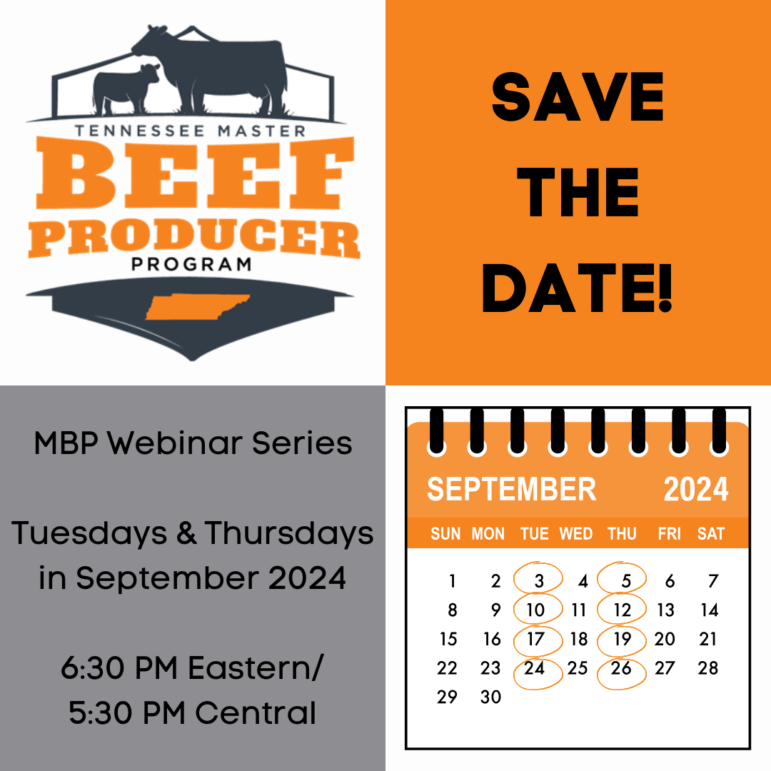 Master Beef | Hamilton County